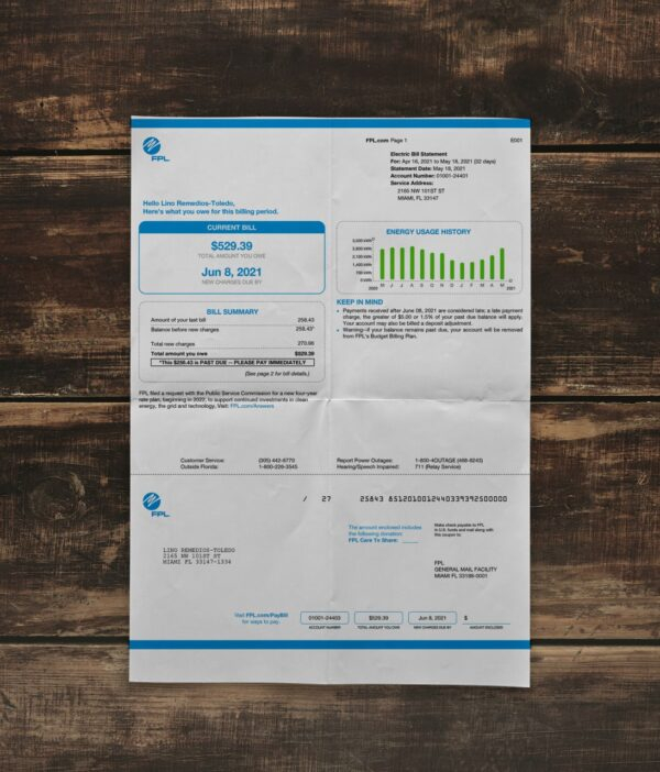 Florida FPL Utility Bill Template » JohnWickTemplates.com